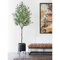 Coolmade 5FT Indoor Artificial Olive Tree - Faux Silk Plant with ...