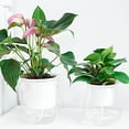 SPRING PARK Self Watering Planter, Violet Pots, Auto-Watering Pot for ...