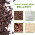 Bonsai Soil by - 2qts. | Premium All-Purpose Mix Bonsai Tree Varieties ...