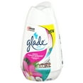 Glade Room Deodorizers, Exotic Tropical Blossoms Solid Gel Cone Air ...