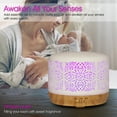 Earnest Living Essential Oil Diffusers Home Scent Aroma White Ceramic 500ml Timer Night Lights ...
