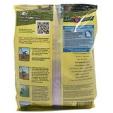 TifBlair Centipede Grass Seed (1 Lb.) from Patten Seed Company, Ideal ...