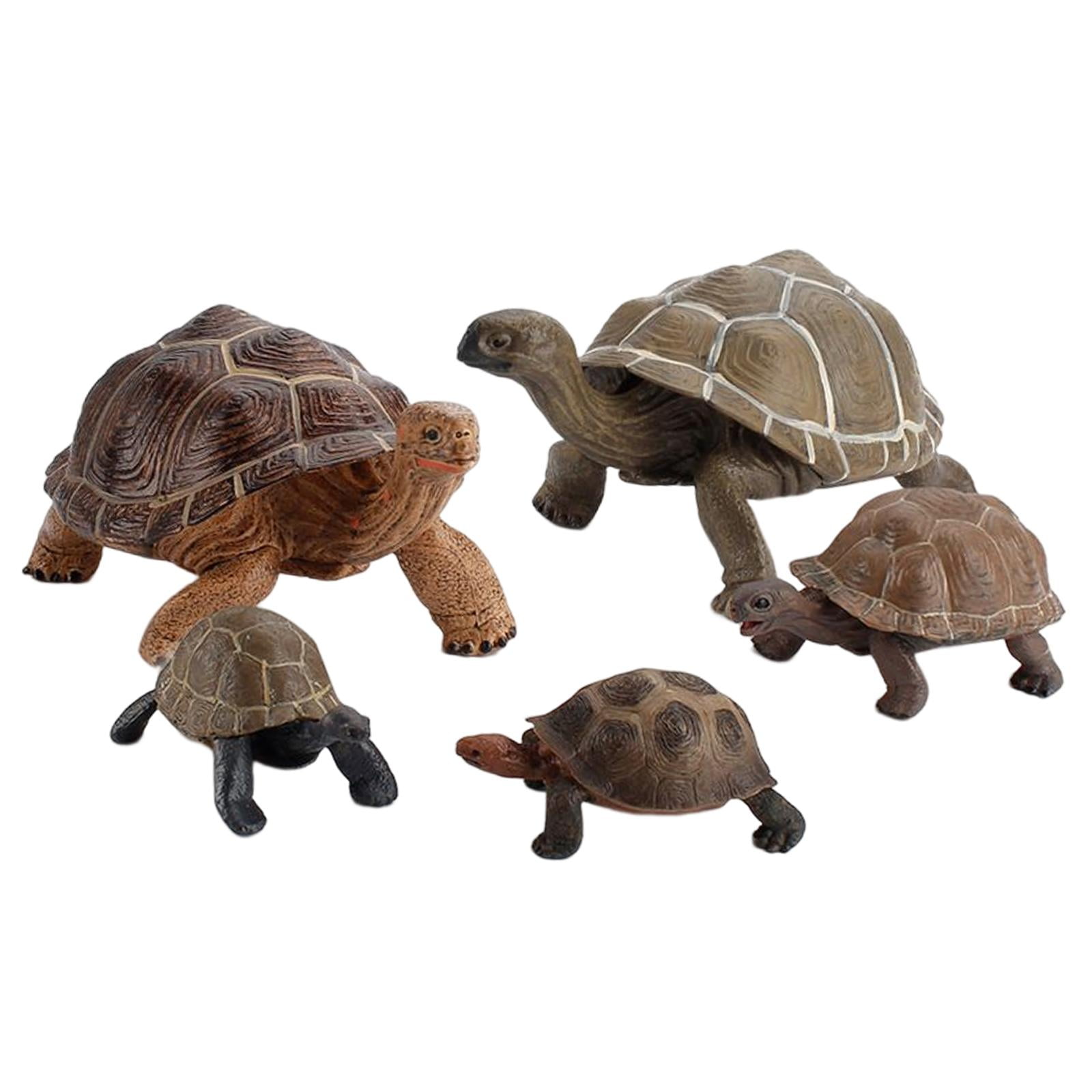 Realistic Turtle Figurine, Cognition Educational Toys, Tortoise Statue ...