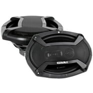Pyramid 10" 500 Watt High Performance 8 Ohm Subwoofer - Walmart.com