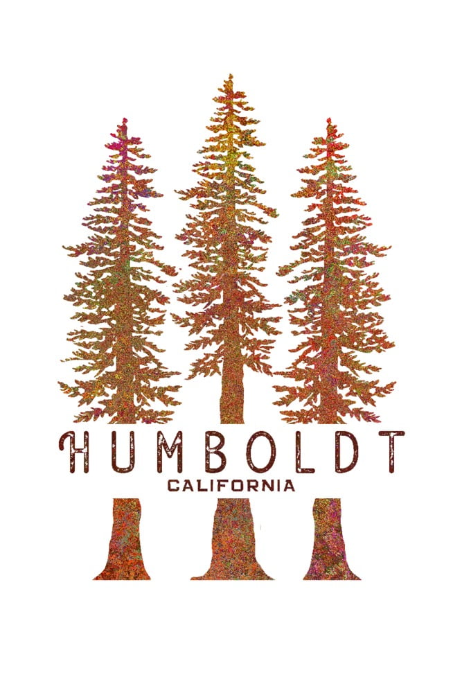 Humboldt, California, Redwoods (36x54 Giclee Gallery Art Print, Vivid ...
