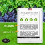 2 Packs Culinary Basil Seeds Mix - Non-GMO Heirloom Herb - Full Sun ...