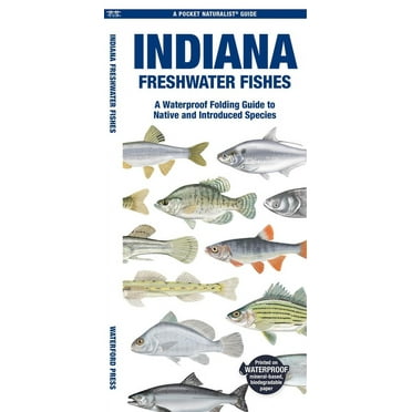 Skyhorse Pocket Guides: The Pocket Fishing Basics Guide : Freshwater ...