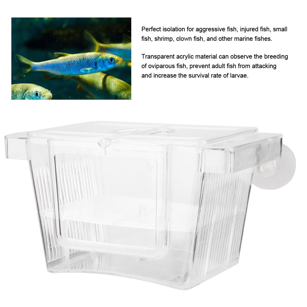 Click here for Fyydes Fish Breeder Box  Acrylic Aquarium Hatching... prices
