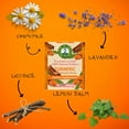 Dr. TEA Turmeric Herbal Tea - Cinnamon Flavor -20 Tea Bags - Natural ...