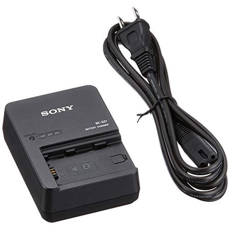 Sony battery charger BC-QZ1 | Walmart Canada