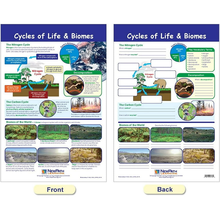 Ecology Bulletin Board Ecology Bulletin Board Letters, Ecology