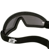 Birdz Wing Goggles Smoke Lens Skydiving Extreme Sports 100% UV ...