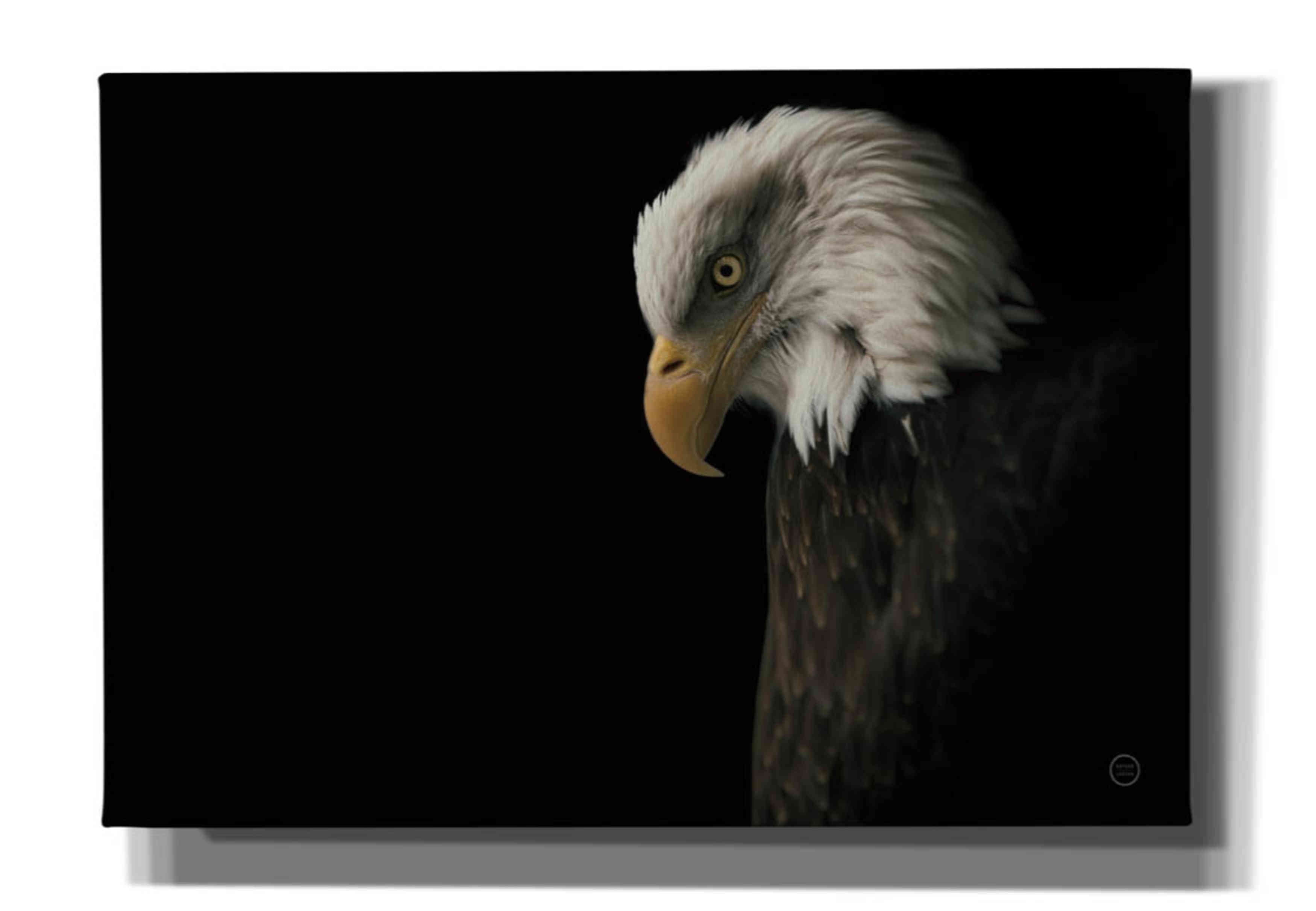 Giclée Art & Collectibles Prints Giclee Canvas Wall Art 'Bald Eagle ...