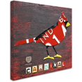 Free Shipping! Trademark Fine Art Indiana Cardinal Canvas Wall Art by ...