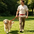 AOOOWER Polyester Two Dog Walking Leashes Bungee With Stretchy Bungee ...