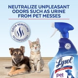 Lysol Pet Solutions Disinfecting Cleaner, Citrus Blossom Scent, 32 fl ...