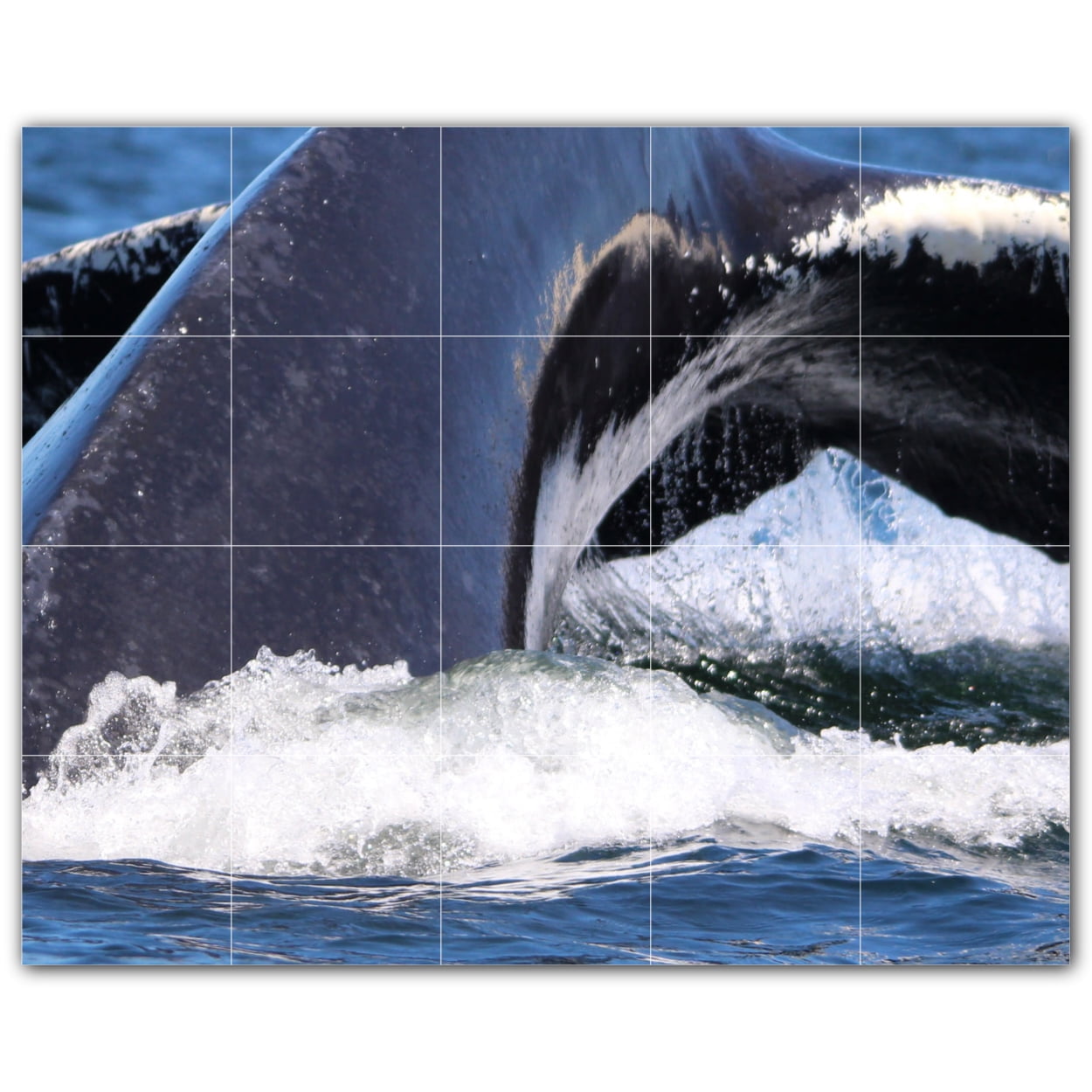 Picture-Tiles.com: Whale Ceramic Tile Wall Mural WAL501184-54M. 30"W x ...