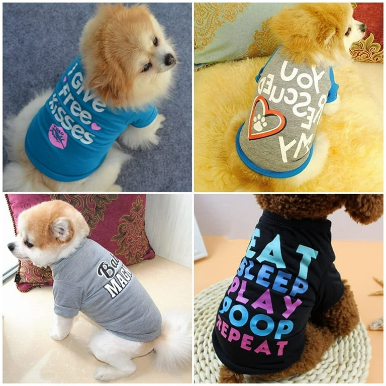 Boy Dog Clothes