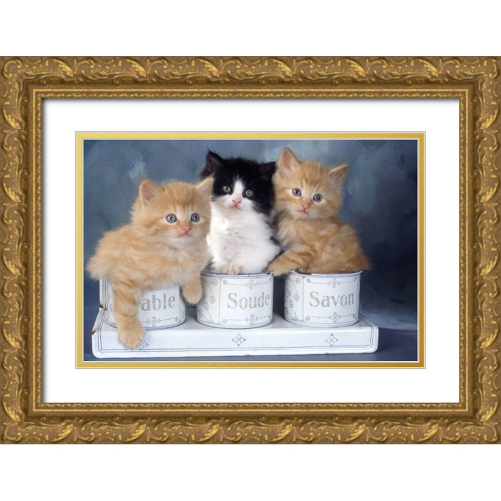 Hoenderkamp, Patrick 14x11 Gold Ornate Wood Framed with Double Matting ...