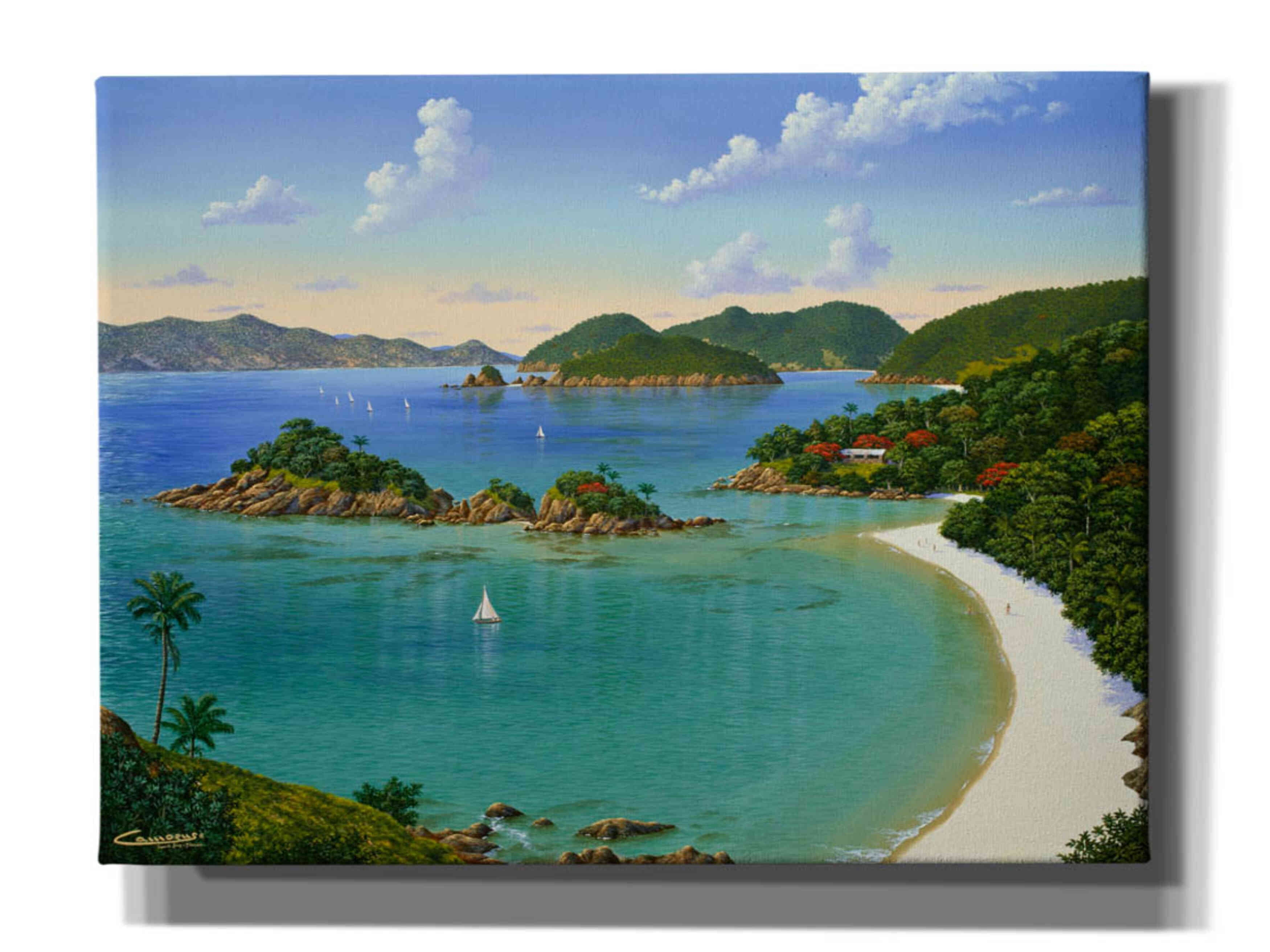 Epic Graffiti 'Trunk Bay, Virgin Islands' by Eduardo Camoes, Canvas ...