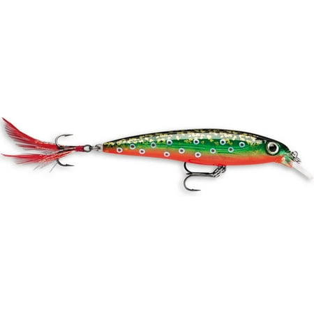 Rapala X-Rap 06 Fishing Lure, 2.5-Inch, Brook Trout, Multi (XR06BTR ...