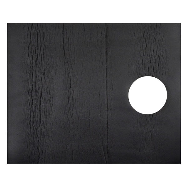 Triton Boats 1979717 Black 14 1/2 x 12 3/8 Inch Marine Plastic Livewell ...