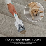 Shark CarpetXpert Deep Clean Pro 48oz Formula for All Carpets and ...