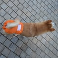Adjustable Female Dog Diaper Pants, Reusable Dog Period Underwear Pet ...