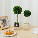 BOXWOOD WORLD Preserved Boxwood Ball Topiary for House Decor Potted ...