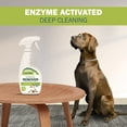 Pet Stain and Odor Remover - Enzyme Cleaner, Pet Urine Odor Eliminator ...