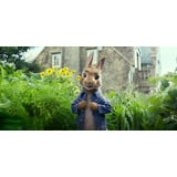 Peter Rabbit (Blu-ray + DVD ) - Walmart.com