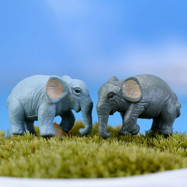 Miniature Elephant Pet