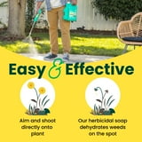 Sunday Weed Warrior Non-Selective Herbicide Gallon Sprayer 1 gal./128 ...