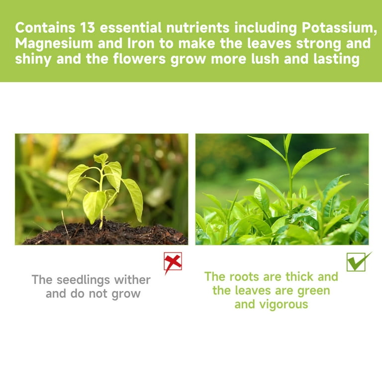 Flower Nutrients For Soil | Best Flower Site