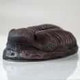 Trilobite in Case Resin Fossil Replica - Walmart.com