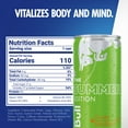 Red Bull Summer Edition Energy Drink, Curuba Elderflower, 80mg Caffeine ...