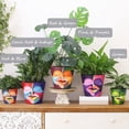 GUGUGO 8 Inch Abstract Rainbow Head Planter, Unique Face Plant Pot with ...
