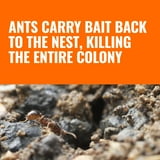 Terro Outdoor Liquid Ant Bait Stakes, 8ct - Household Ant Traps Station ...