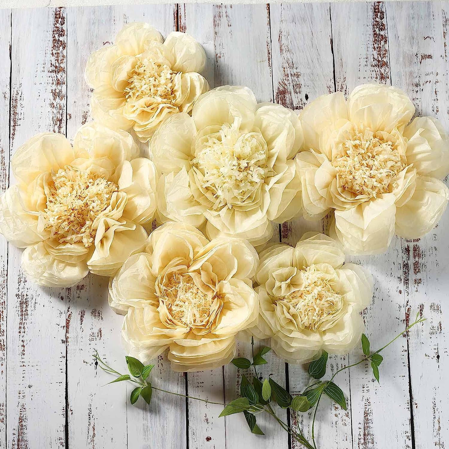 6 Pack Cream & Ivory Assorted Size Giant Paper Peony Flowers Decor For ...