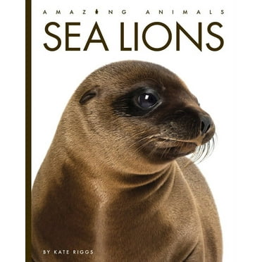 Amazing Animals: Armadillos (Paperback) - Walmart.com