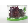 Prep Solutions Fruit and Veggie Keeper, Multi-Purpose Kitchen Storage ...