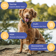 Petralyte Dog Electrolyte, Joint Supplement | Veterinary Certified | 16 ...