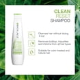 Matrix Biolage Normalizing Clean Reset Shampoo, 33.8 Fl Oz for ...