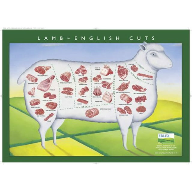 Lamb Cuts Illustration Chart Poster 16in x 24in 16x24 Multi-Color ...