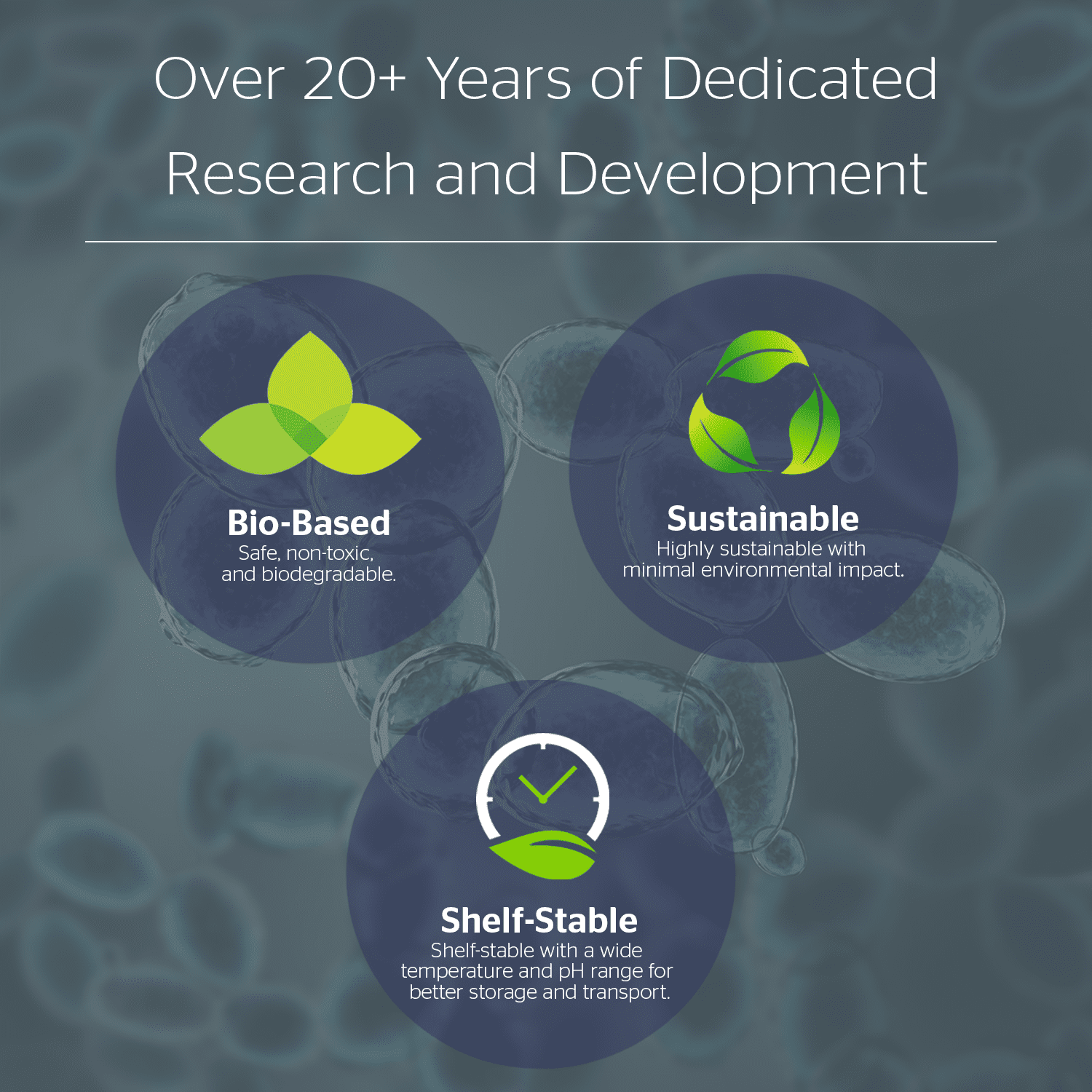 Buy ProBio Balance Original - Probiotic Mother Culture - SCD Probiotics ...