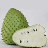 Dried Graviola Leaves, Dried Soursop Tea Leaves, Hojas de Guanabana 2 ...