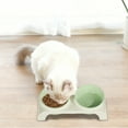 C Double Bowl Slanted Pet Dish, Anti-Slip Elevated Dog Cat Bowl For ...