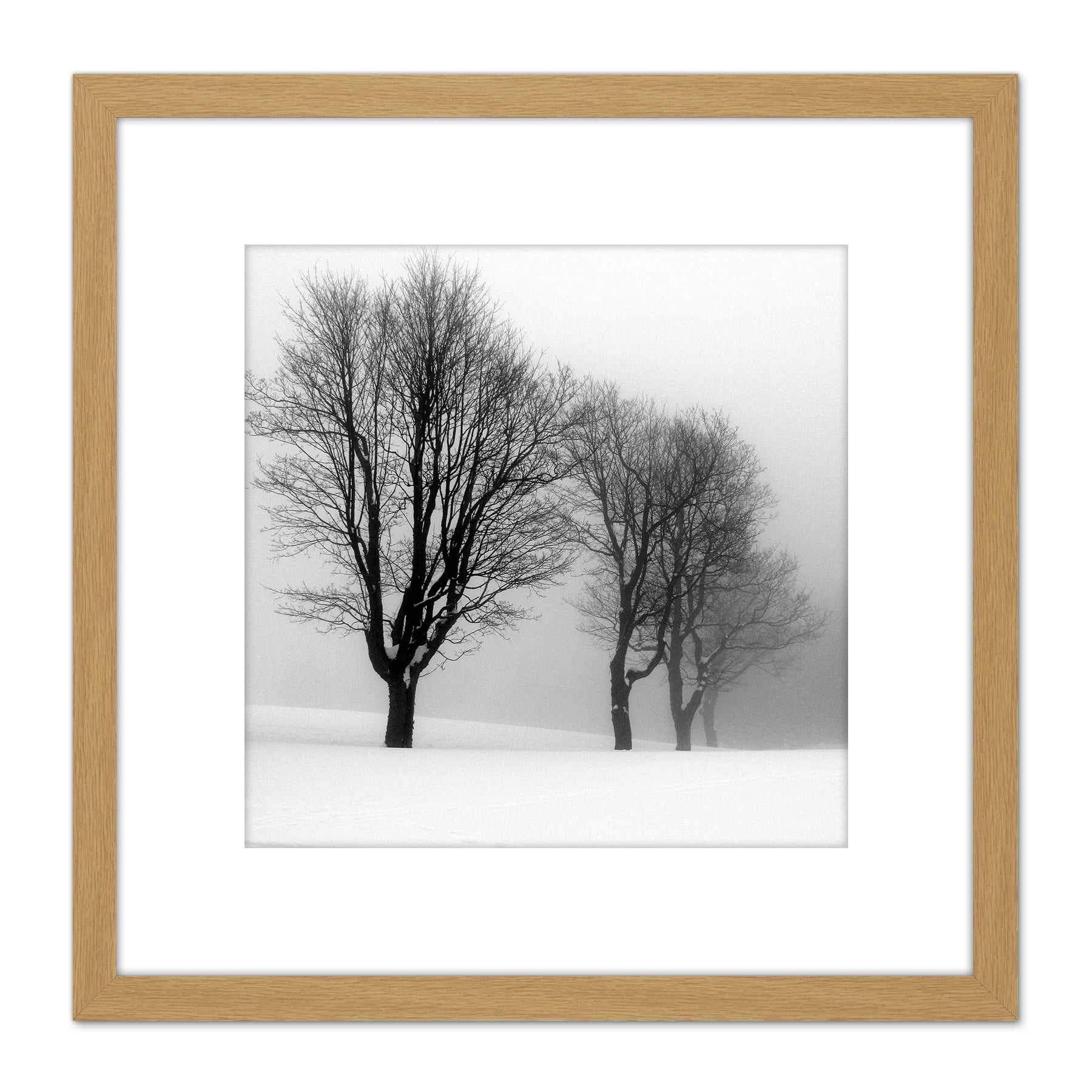 Stemberovi Trees Winter Mist Black White Photo 8X8 Inch Square Wooden ...