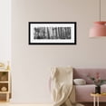 Framed Art Print, Aspen tree trunks in black and white by Panoramic ...