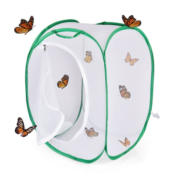 Butterfly Mesh Cage
